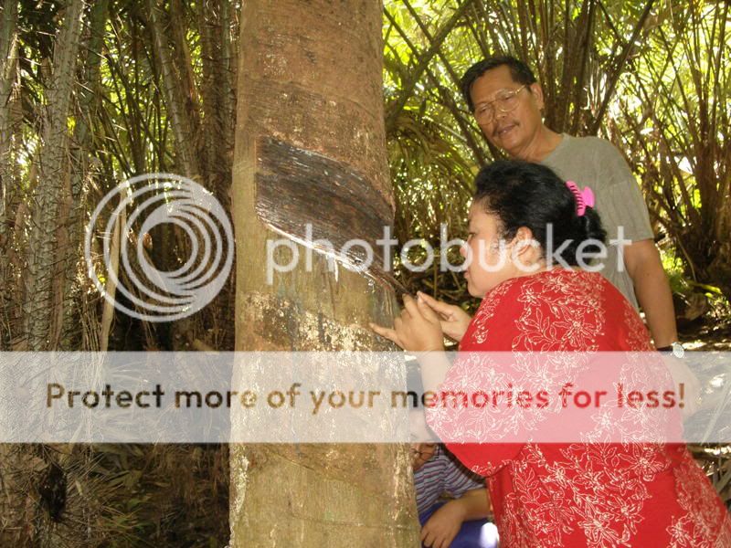 Huta Ginjang | DOLOK PINAPAN NAULI